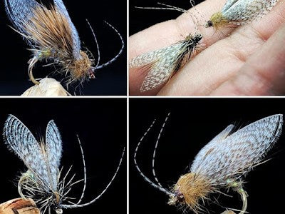 The Caddis – Togens Fly Shop