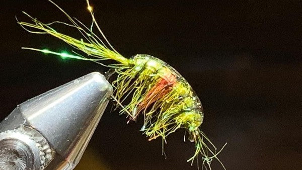 Foam Is Home – Togens Fly Shop