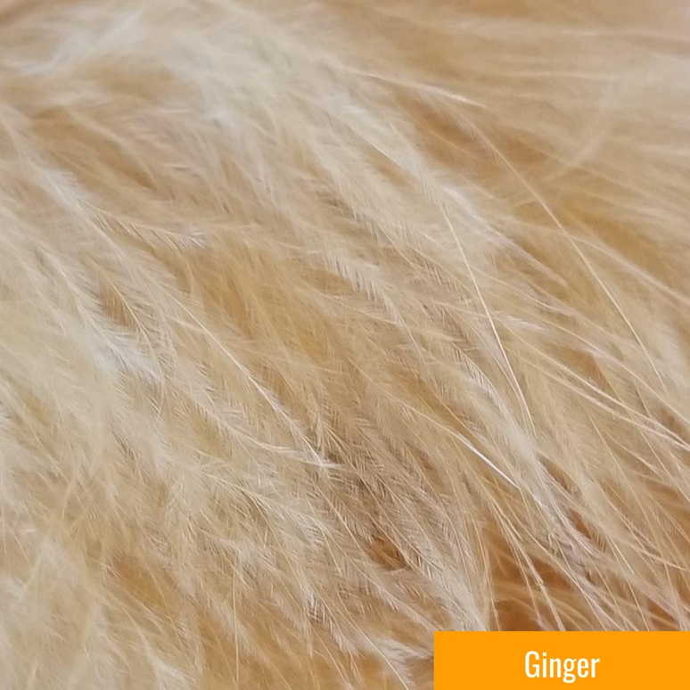 Thin Mint Leech - Fly Tying Tutorial – Togens Fly Shop