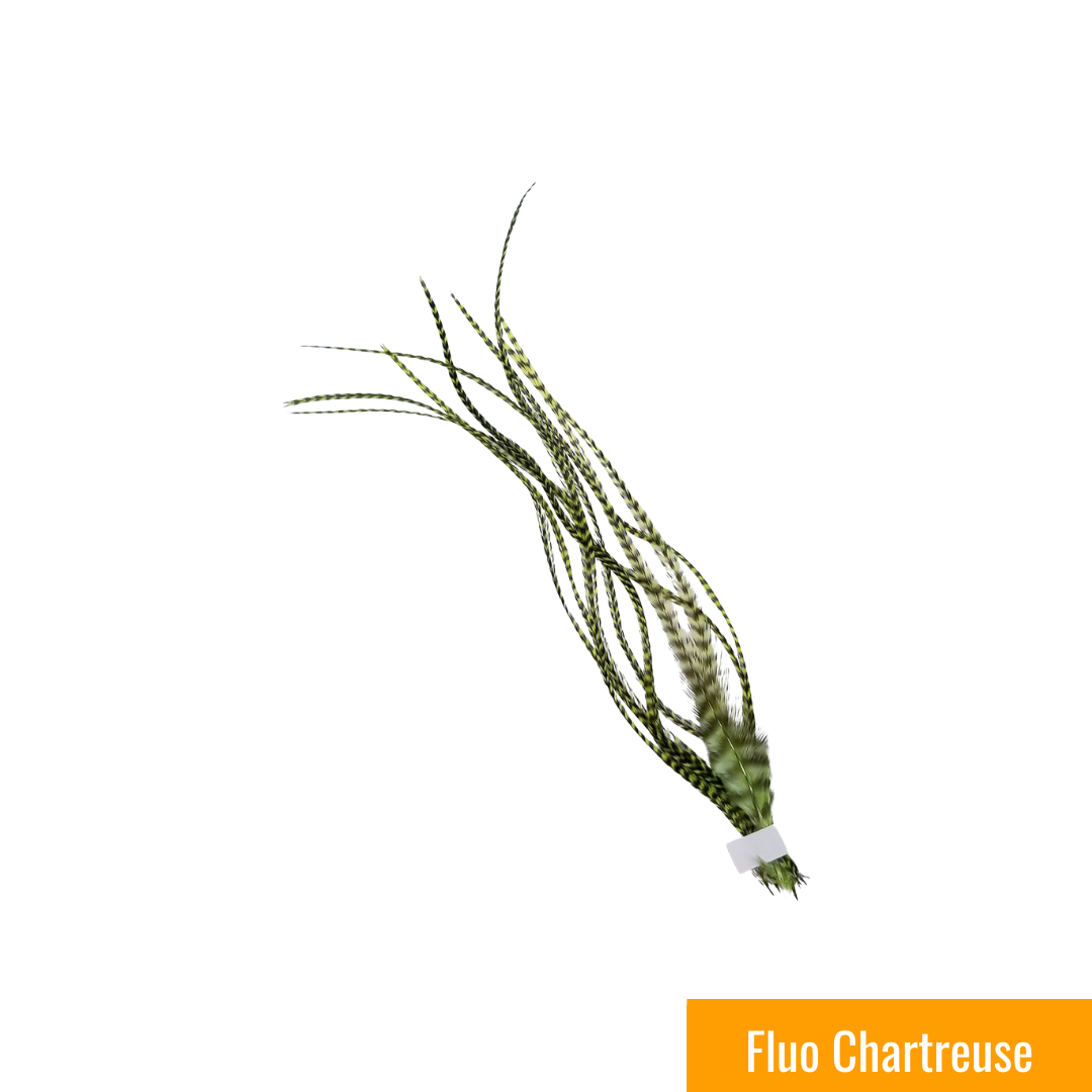 Rotten Pumpkin Head - Fly Tying Tutorial – Togens Fly Shop